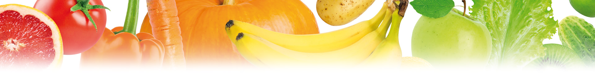 moHA! – swiss smart design